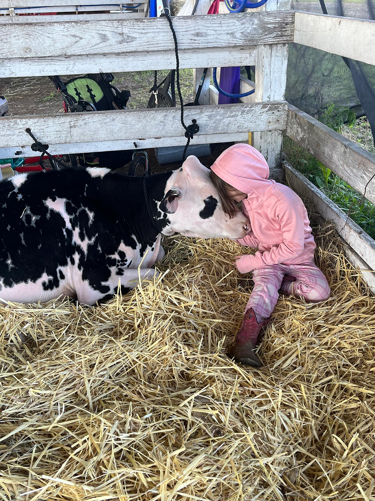 La Farm Girls - Cow Cuddle Farm | Easton PA